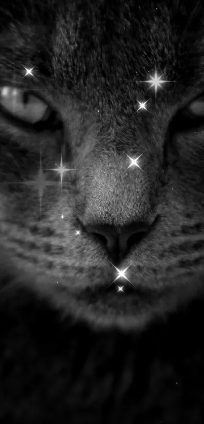 Cica Live Wallpaper - free download