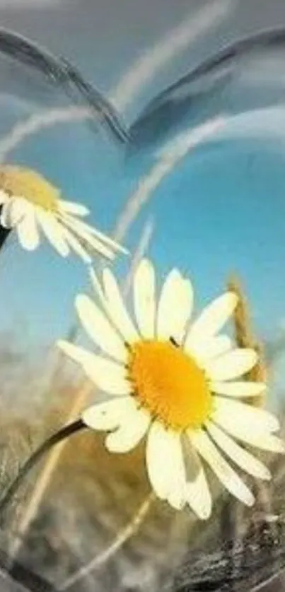 Heart-Shaped Daisy Paradise - free download