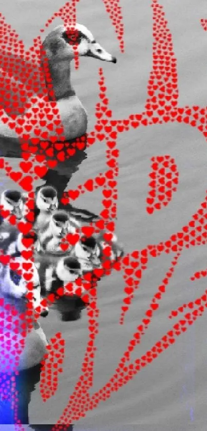 Heartfelt Ducks Wallpaper - free download