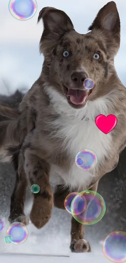 Joyful Dog in Snow Bubbles - free download