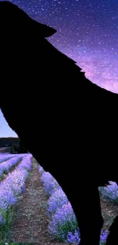 Lavender Night Howling Wolf - free download