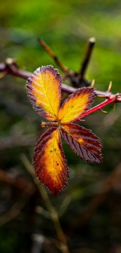 Leaf Branch Biome Live Wallpaper - free download
