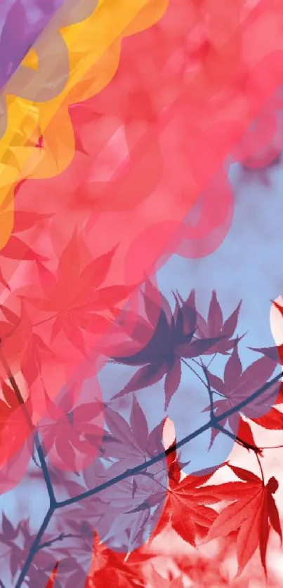 colourful Live Wallpaper - free download