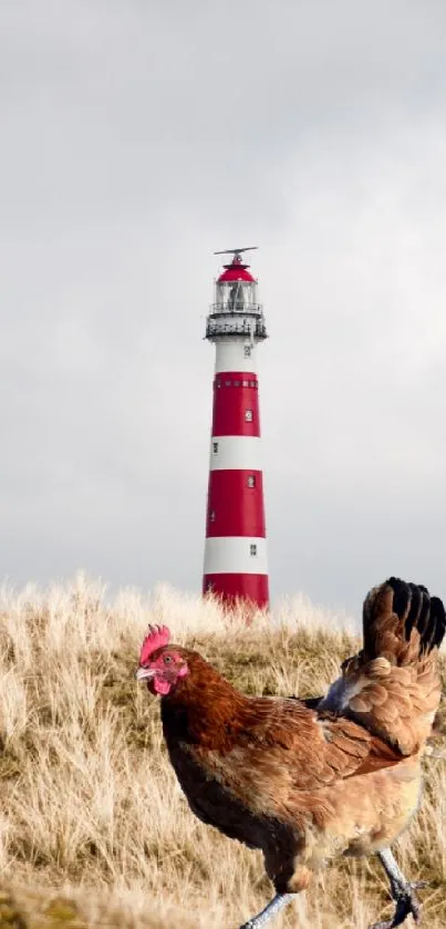 Lighthouse and Chicken Wallpaper - free download
