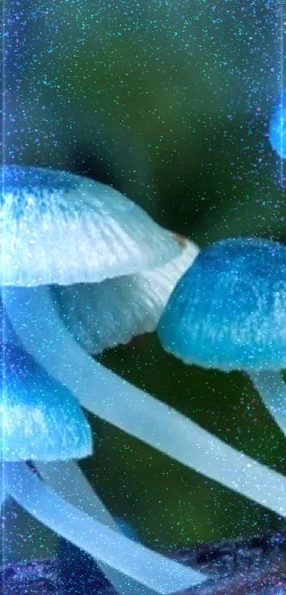 blue Live Wallpaper - free download