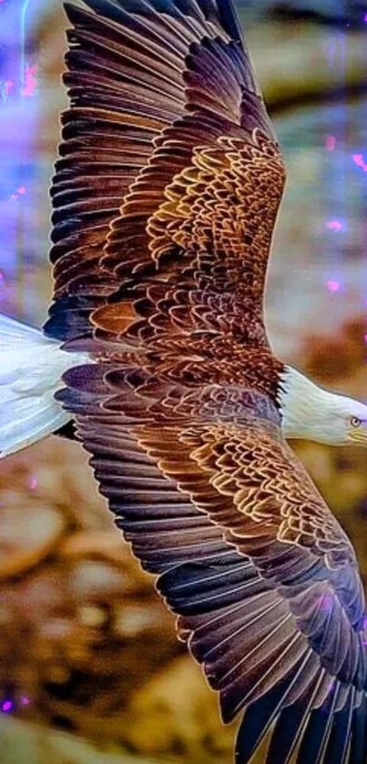 Majestic Eagle in Flight - free download