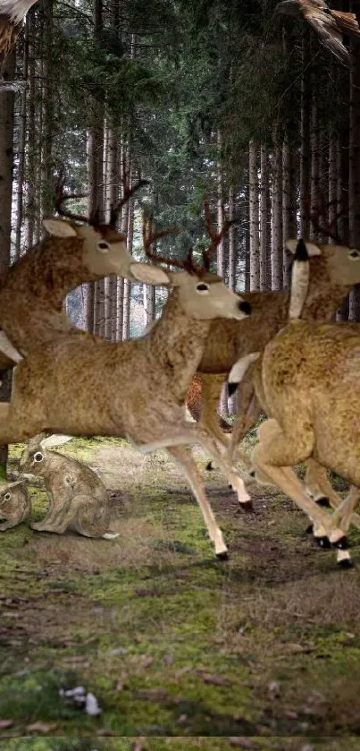 Majestic Forest Wildlife Scene - free download