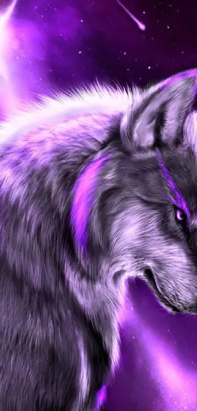 Majestic Purple Wolf Wallpaper - free download