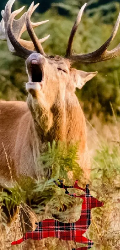 Majestic Stag in Wild Habitat - free download