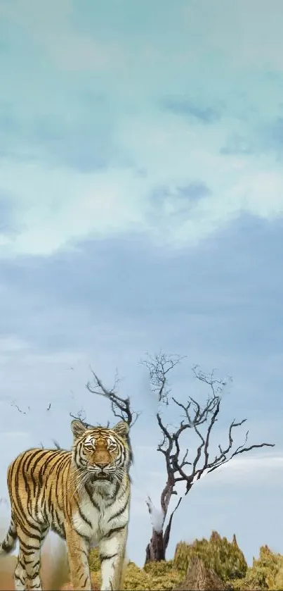 Majestic Tiger Landscape Wallpaper - free download