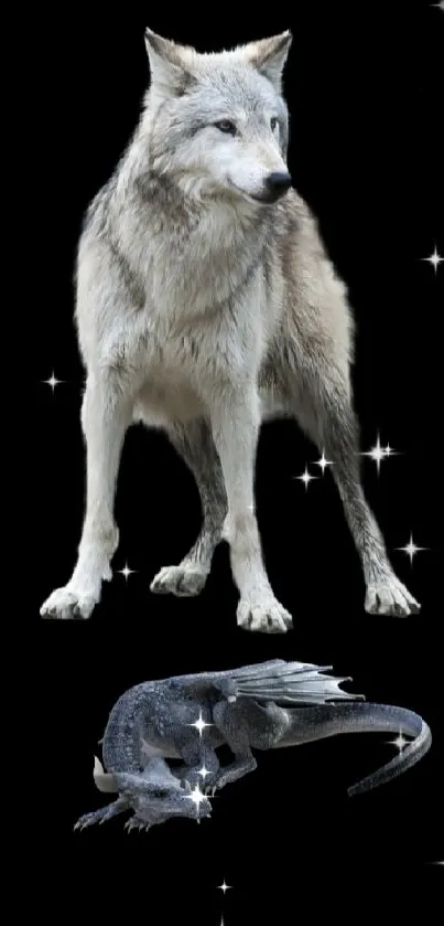 Majestic Wolf and Dragon Art - free download