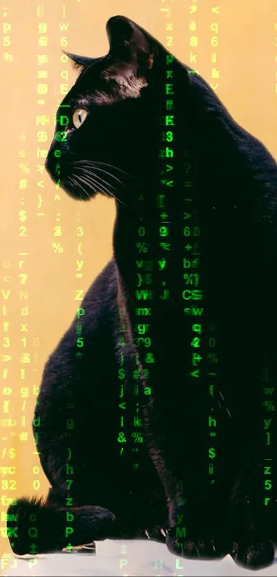 Matrix Cat Digital Wallpaper - free download