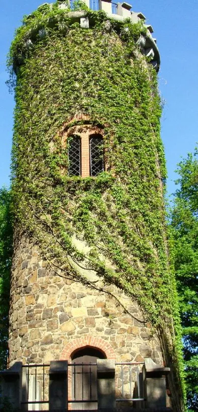 Medieval Tower with Green Vines - free download