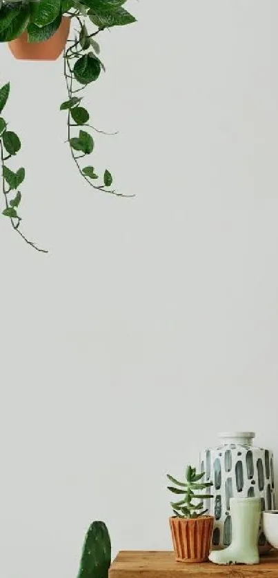 Minimalist Green Plant Decor - free download