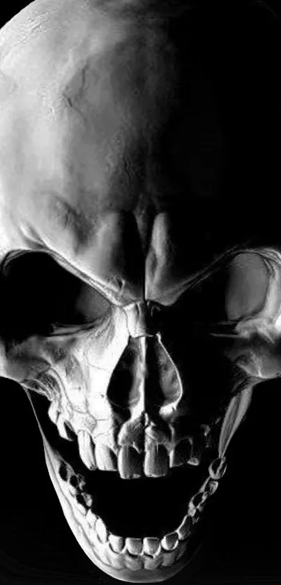 Monochrome Skull Art Wallpaper - free download