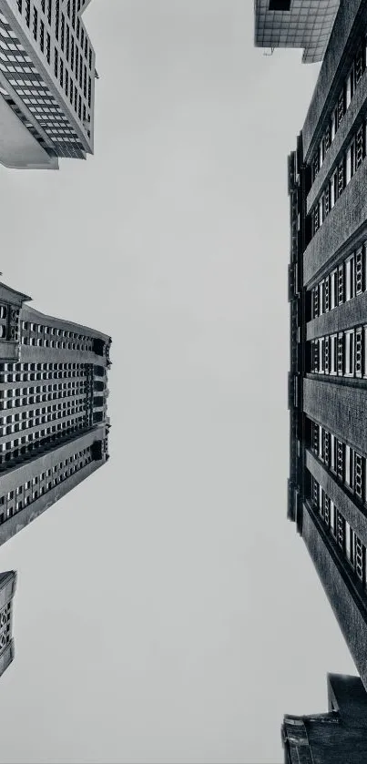 Monochrome Urban Architecture View - free download