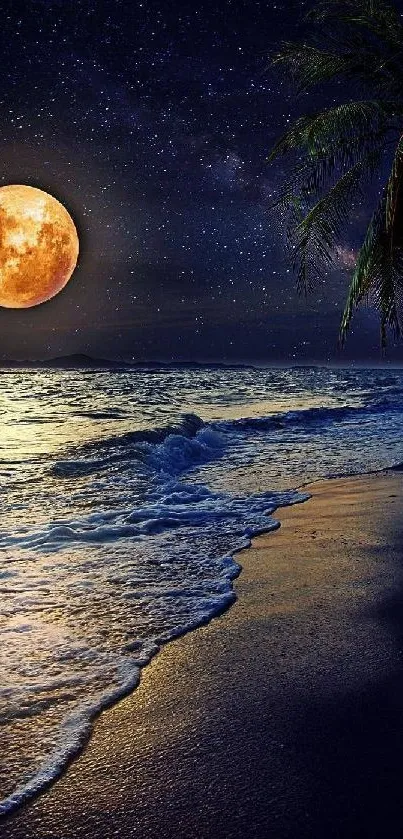 Moonlit Beach Nightscape - free download