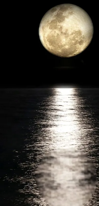Moonlit Reflection Phone Wallpaper - free download