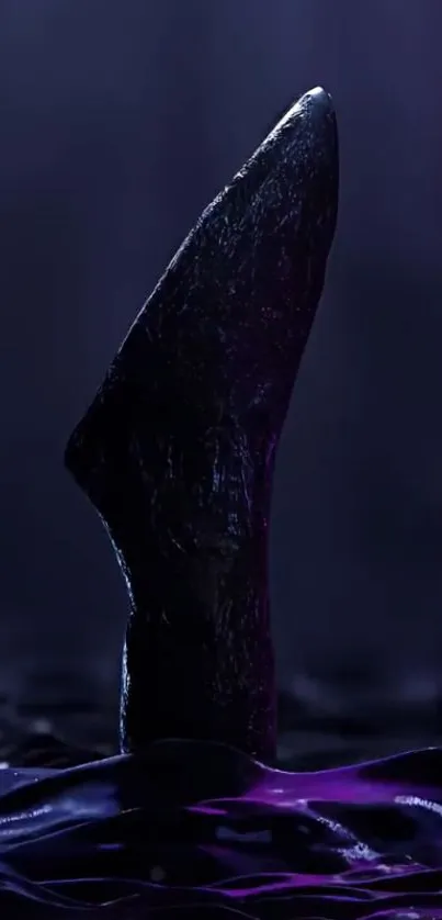 Mysterious Shark Fin Wallpaper - free download