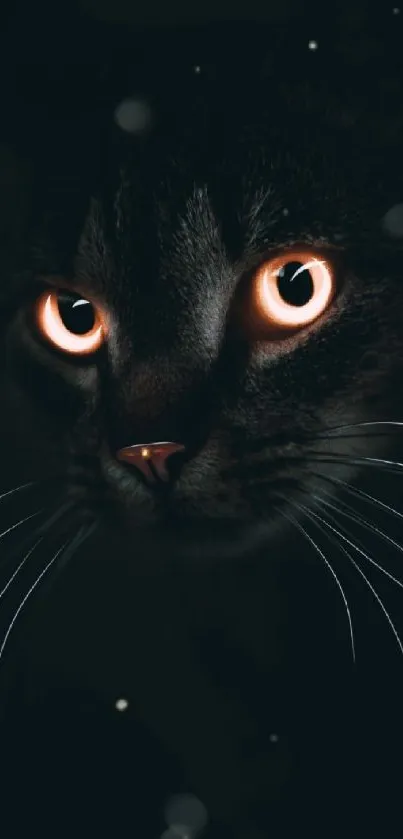 Mystical Dark Cat Wallpaper - free download