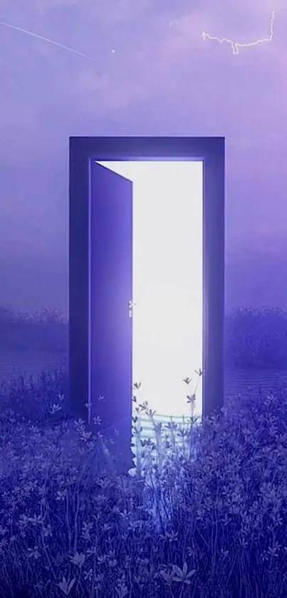 Mystical Door in Purple Field - free download