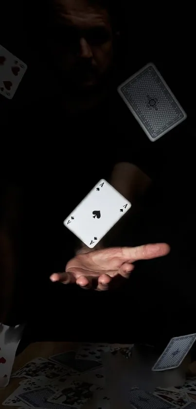 Mystical Floating Playing Cards - free download