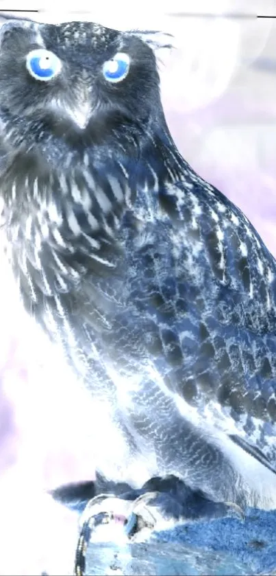 Mystical Owl in Negative - free download