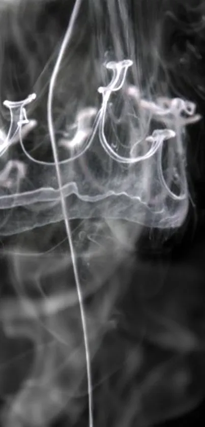 Mystical Smoke Crown Wallpaper - free download