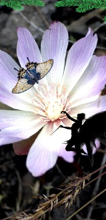 Nature's Beauty: Flower and Insect - free download
