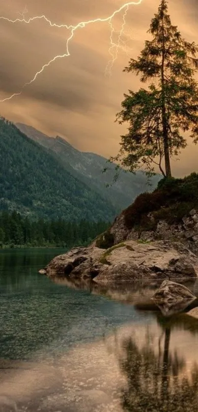 Nature Lightning Tree Wallpaper - free download