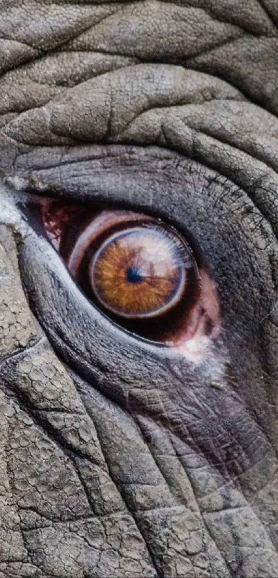 eye sky Live Wallpaper - free download