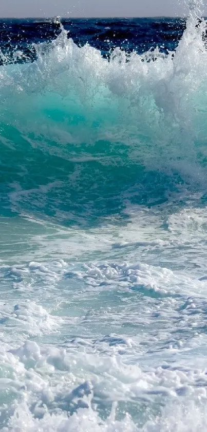 Ocean Wave Bliss Wallpaper - free download
