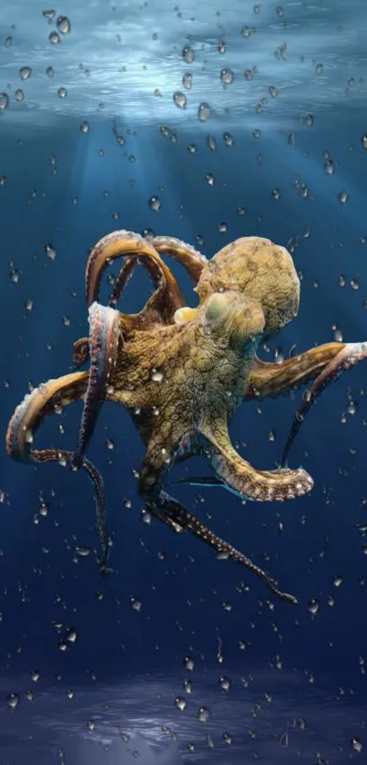 Octopus in Ocean Depths - free download