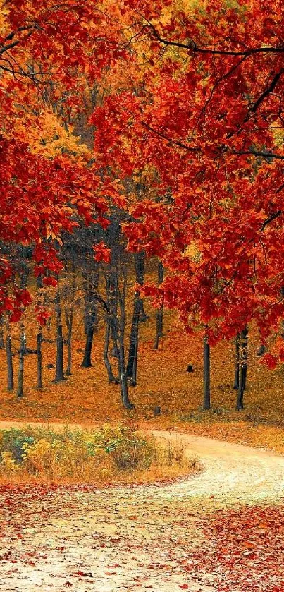 Orange Plant Tree Live Wallpaper - free download