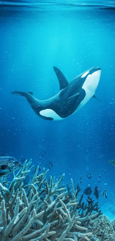 Orca Swimming in Blue Ocean - free download