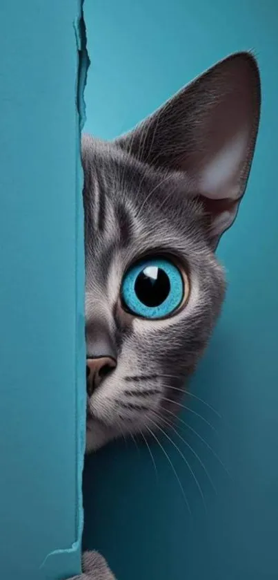 Peeking Cat Blue Wallpaper - free download