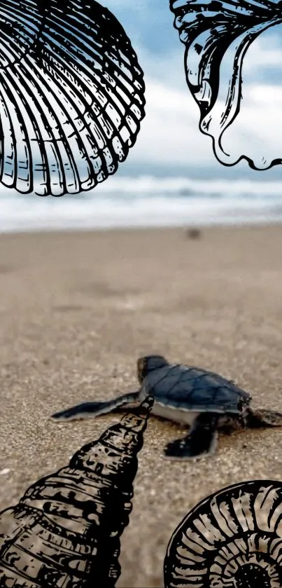 sea turtle Live Wallpaper - free download
