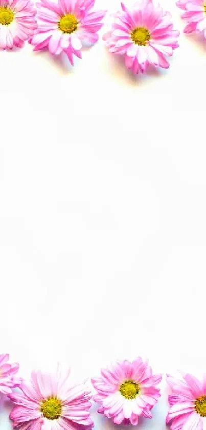 Pink Daisy Frame Wallpaper - free download