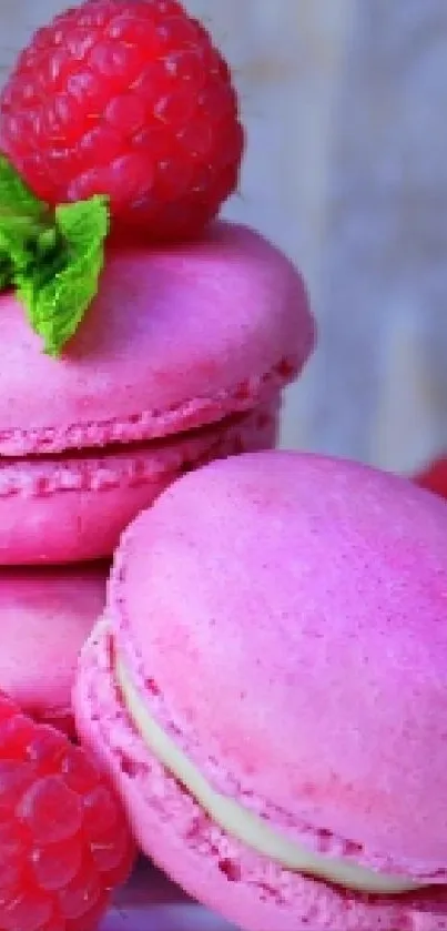 Pink Macarons and Raspberries - free download