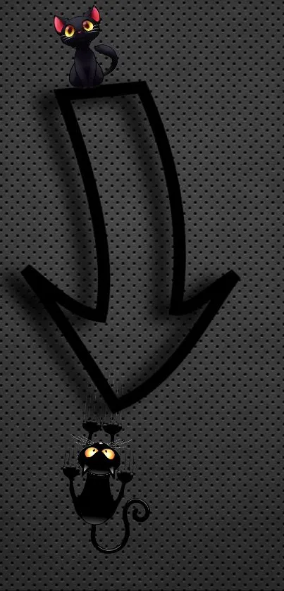 Playful Cat Arrow Wallpaper - free download