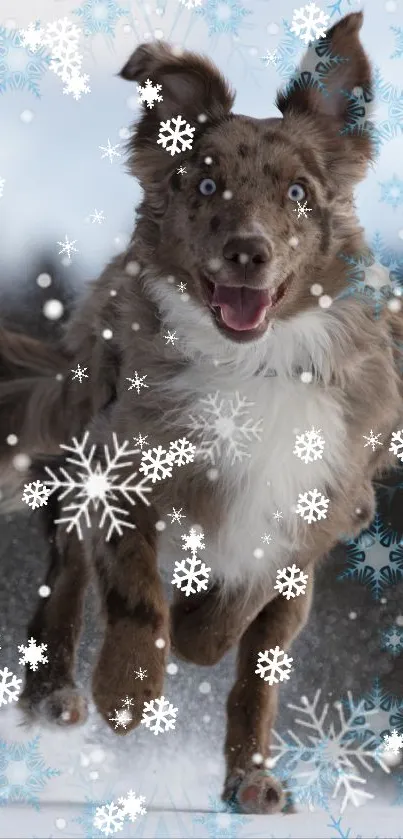 Playful Dog in Snowflakes - free download