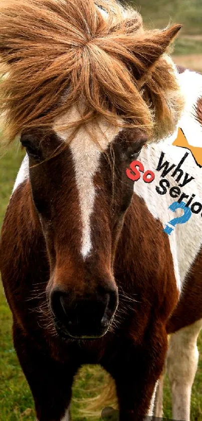 Playful Horse Mobile Wallpaper - free download