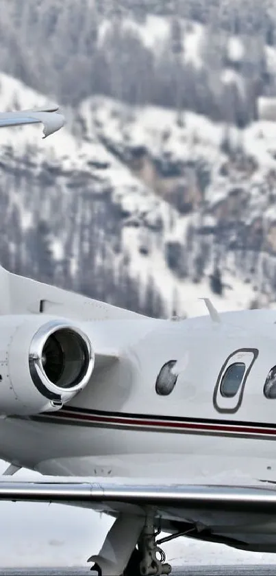Private Jet in Snowy Mountains - free download