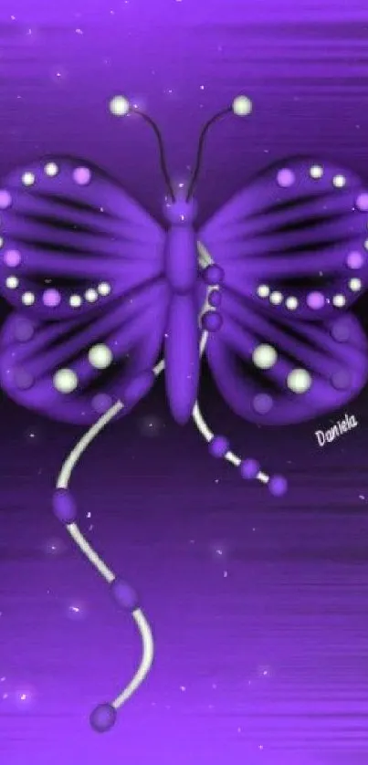Purple Butterfly Wallpaper - free download