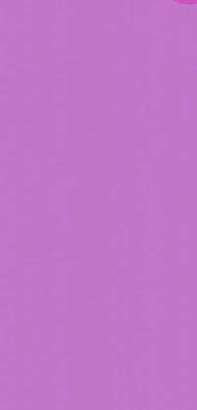 Purple Violet Pink Live Wallpaper - free download