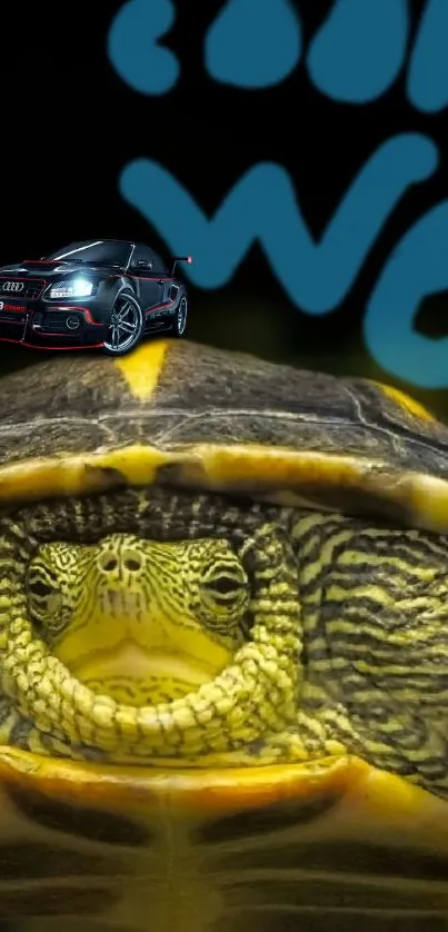 Racing Car and Turtle Art - free download