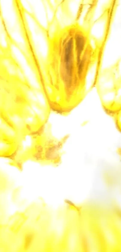 Radiant Yellow Abstract Art - free download