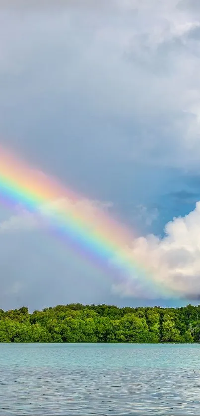 curcubeu Live Wallpaper - free download