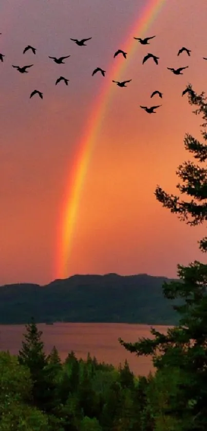 Rainbow Over Scenic Forest - free download