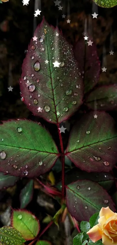 Raindrop Leaves with Rose - free download